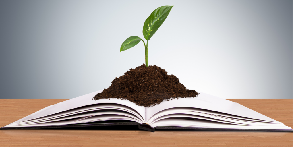 Learning Options - Ross Judd